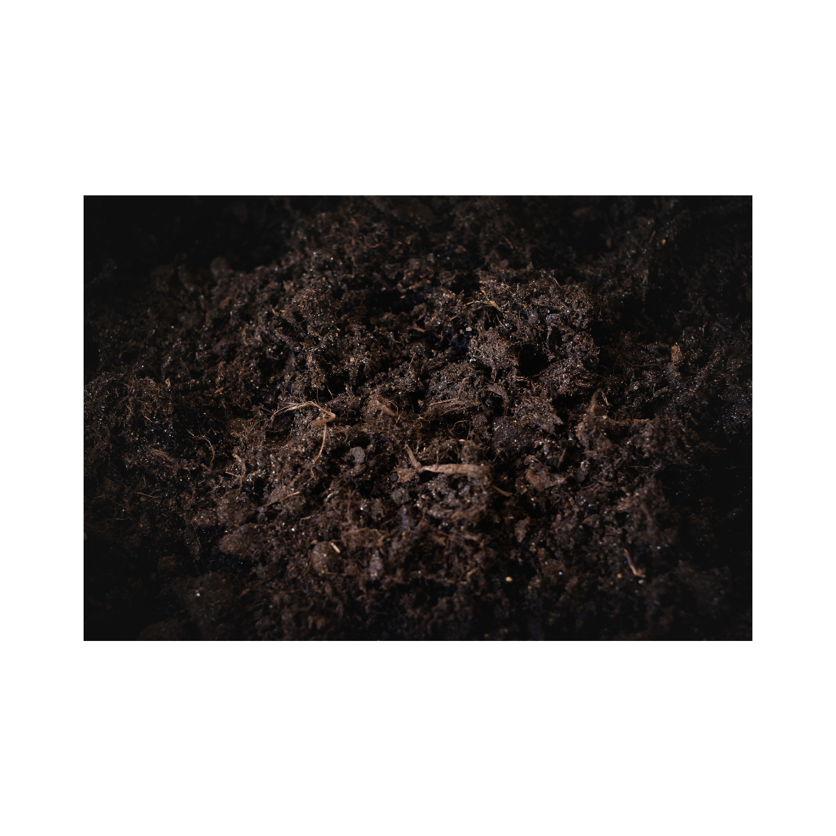 Plumbing | Soil & Waste